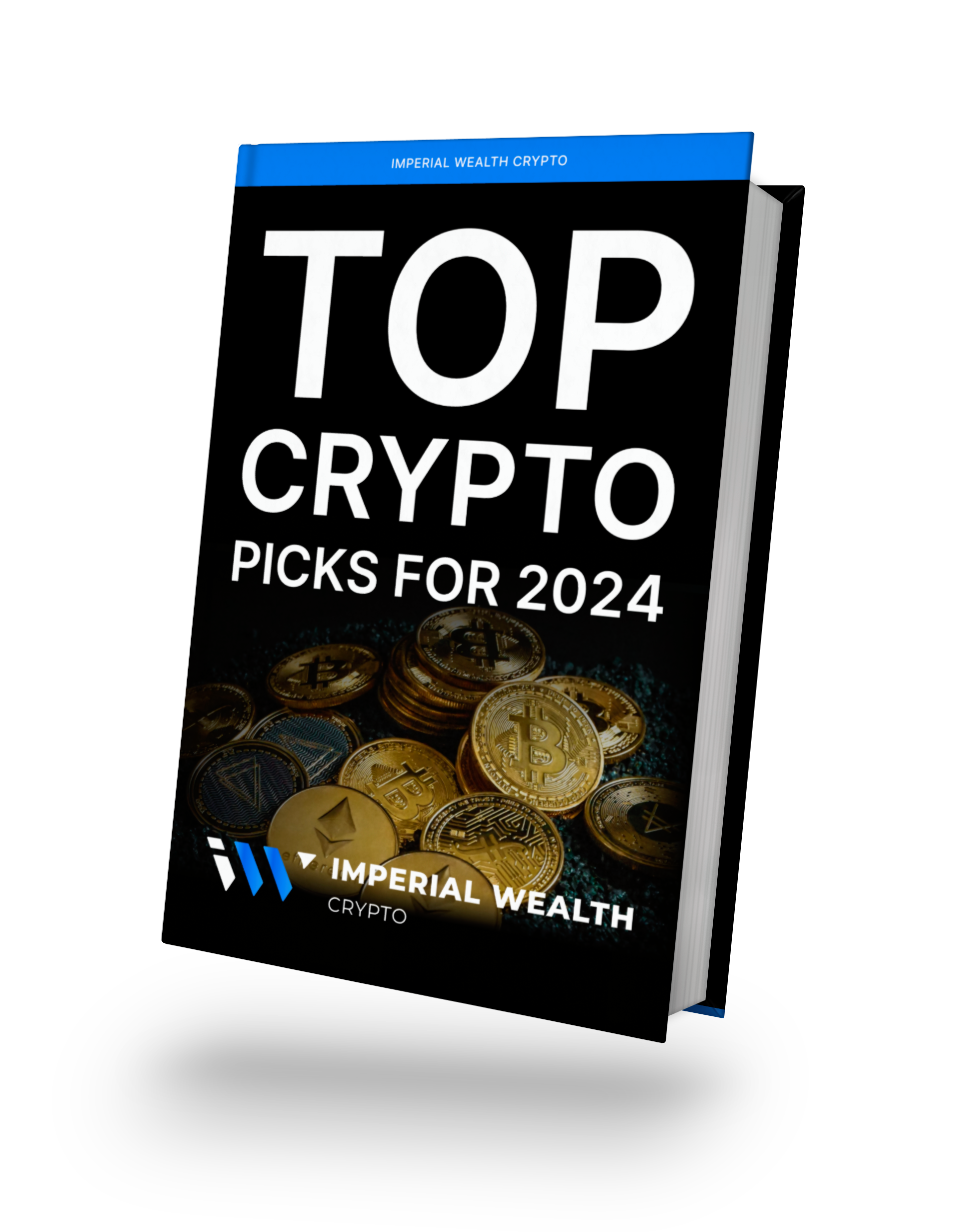 Top Picks For 2024 | miningstore.com.au